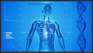 The Triangle of Life - ONLINE FIRST AID - COURSES AND TRAINING